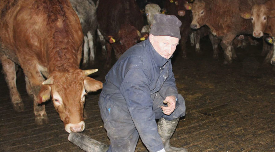 Demand in Northern Ireland continues to grow for EASYFIX - Easyfix ...