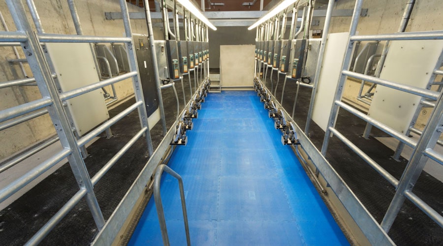 Project Gallery Easyfix Irl