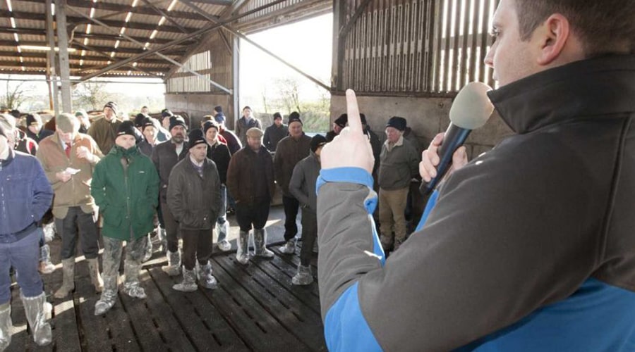 Slatted Housing In Ireland - Easyfix USA - Easyfix