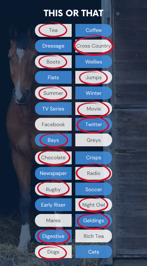 Meet the Team - Rhys Williams - Easyfix Equine