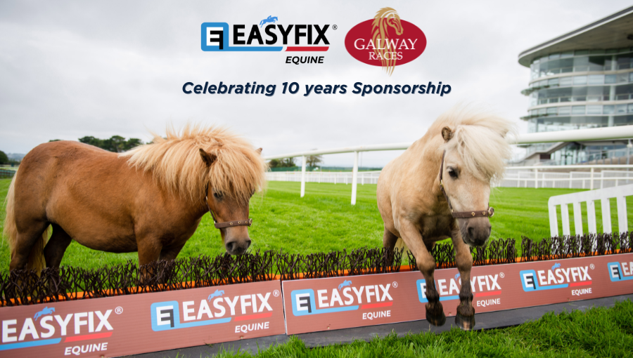EASYFIX Celebrates 10th year of Sponsorship at the Galway Races ...