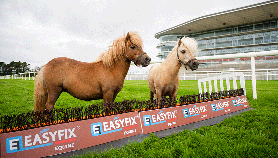 EASYFIX Celebrates its 10th Year of Sponsorship at the Galway Races ...