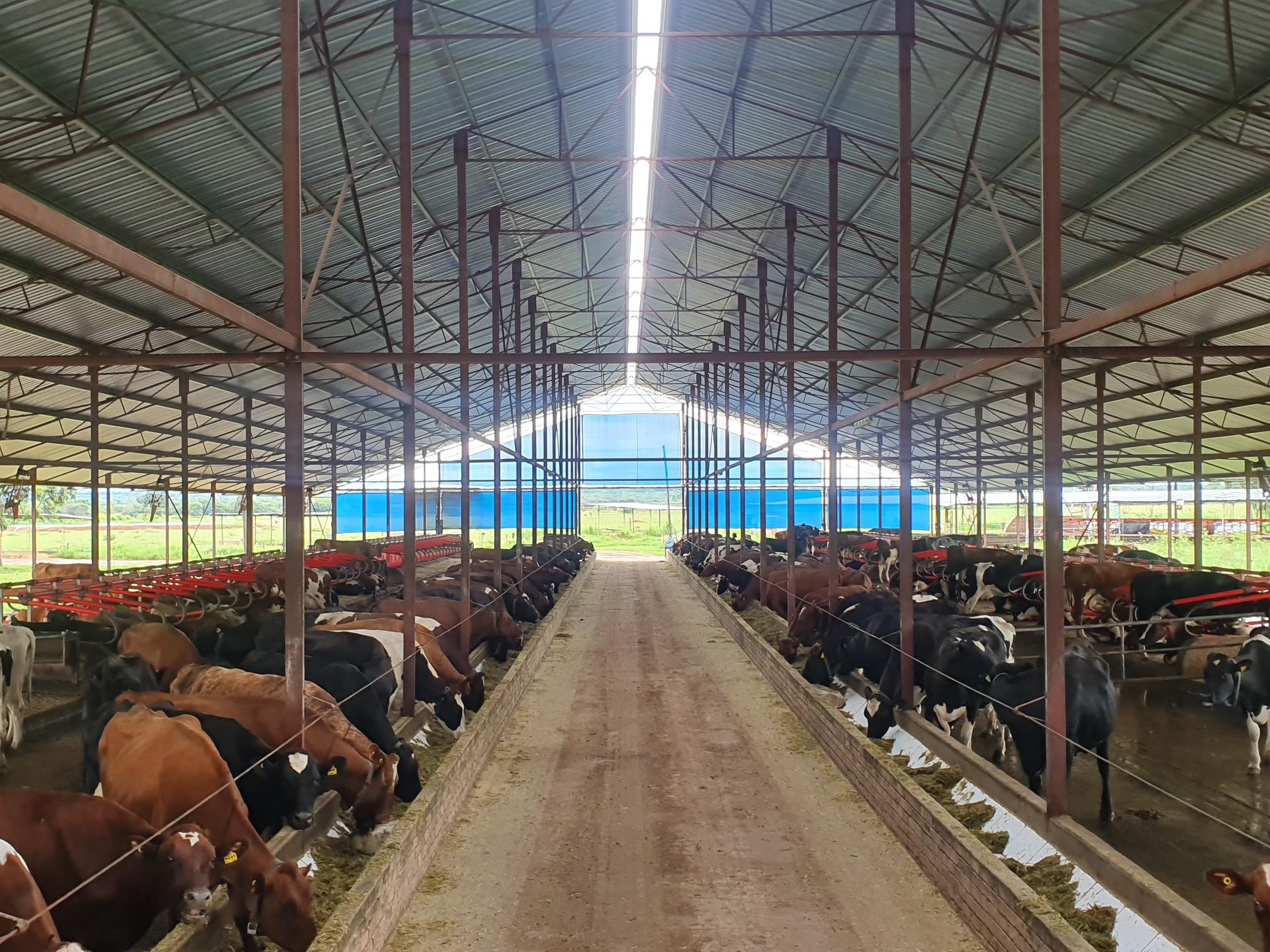 EASYFIX Around the World - Zimbabwe - Easyfix Ireland - Easyfix