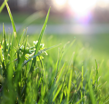 Upgrade Your Slurry Management with ePulse - and Claim up to 60% Back ...