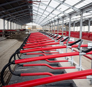 Freestalls | Enhancing Cow-Comfort | EASYFIX