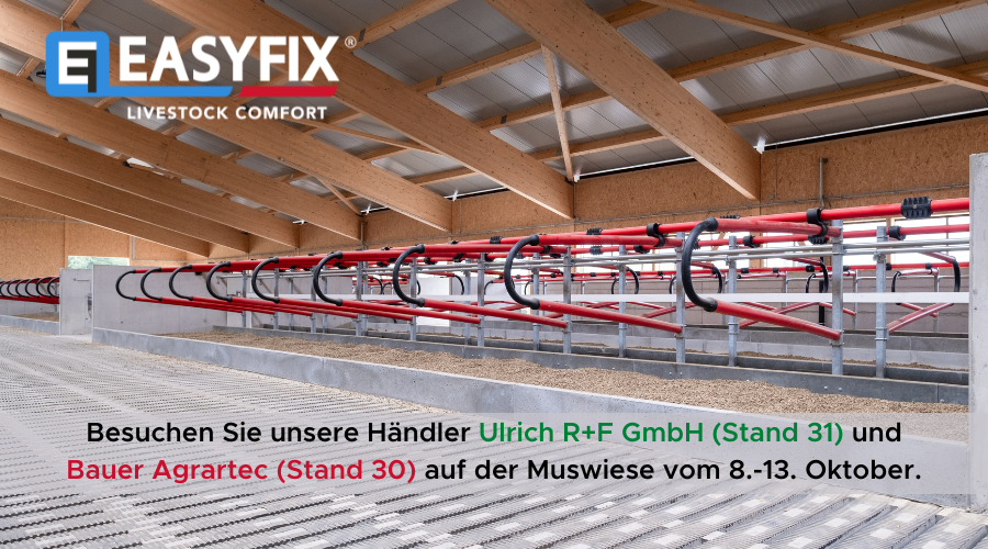 Muswiese - "Königin der Feste" - EASYFIX Deutschland